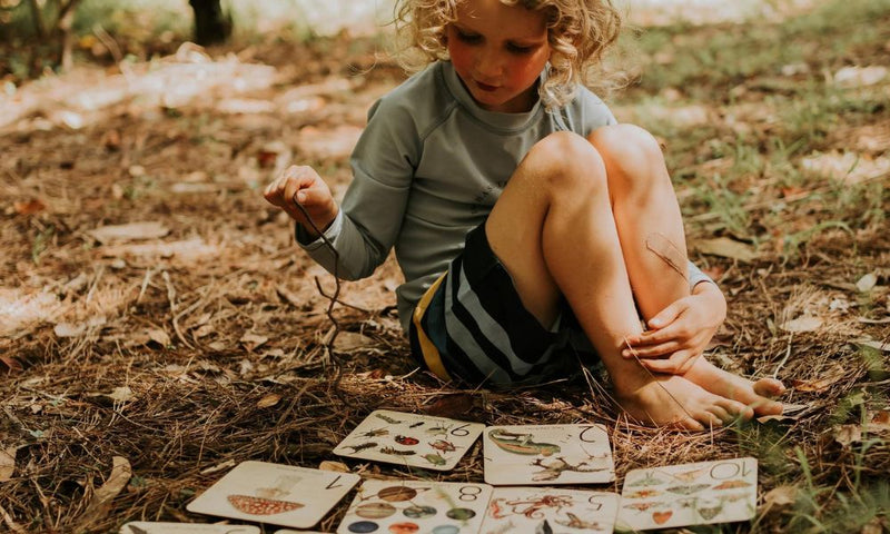 Handmade Toys & Learning Tools – Timber Kids