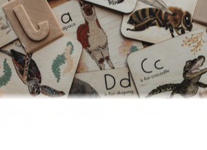 Handmade Toys & Learning Tools – Timber Kids