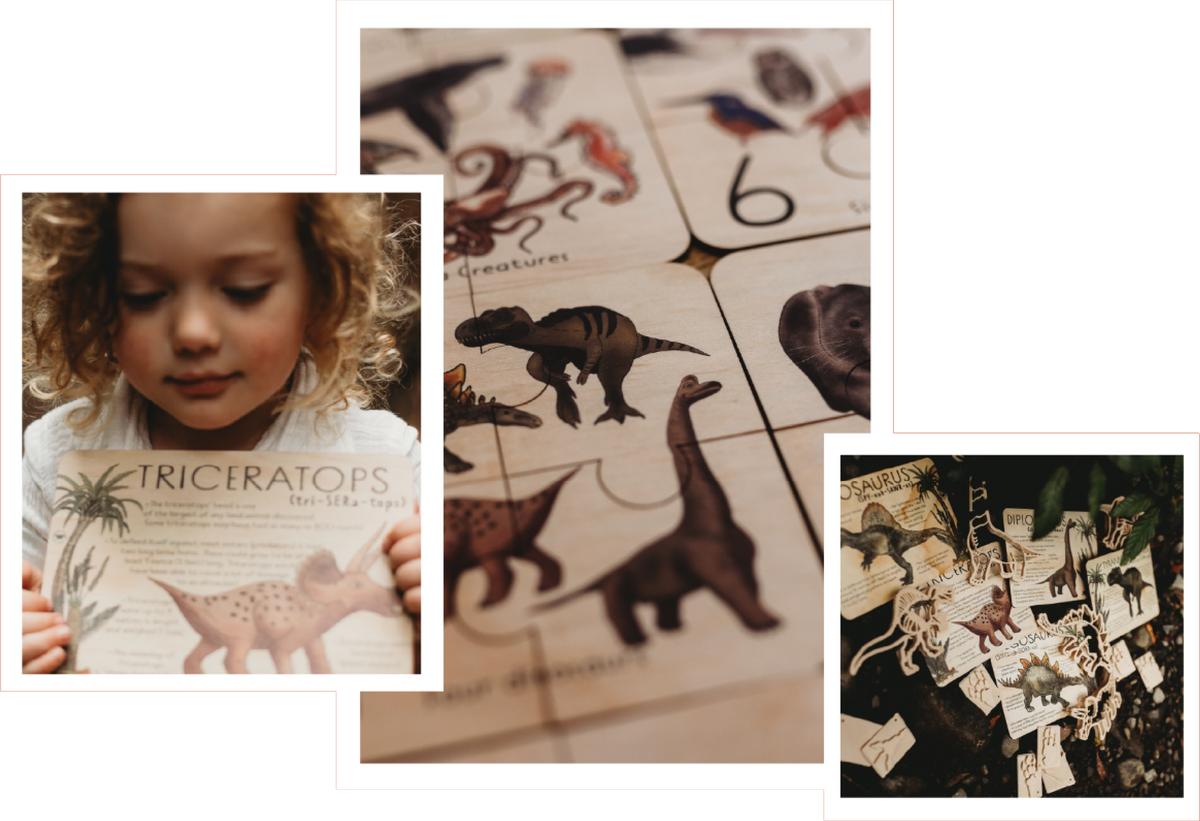 Space Explorers Pack | Timber Kids – Timber Kids