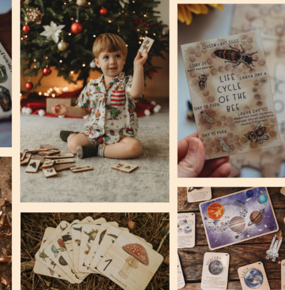 Space Explorers Pack | Timber Kids – Timber Kids