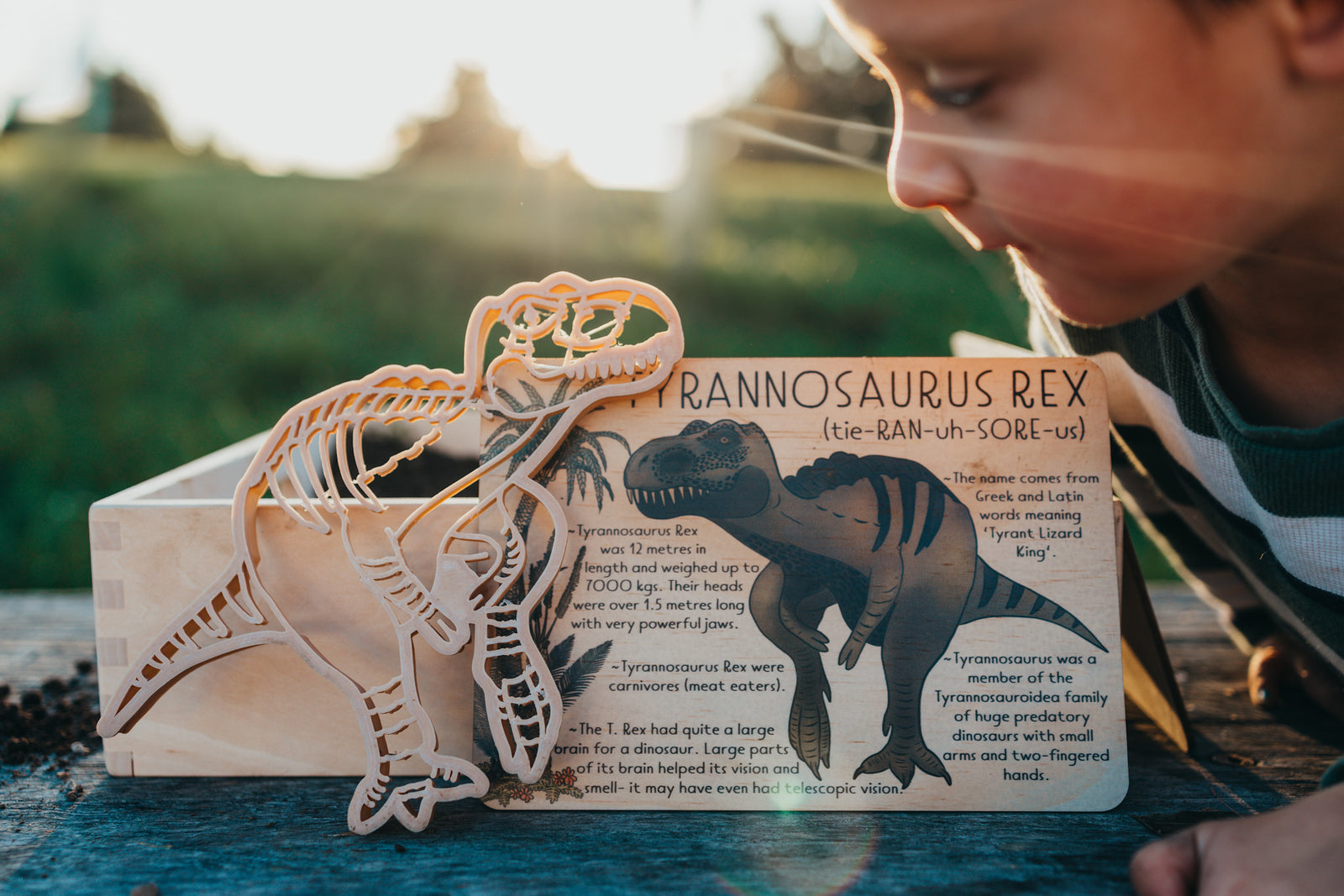 TREX Jumbo Dino Fun Fact Tile | Timber Kids – Timber Kids