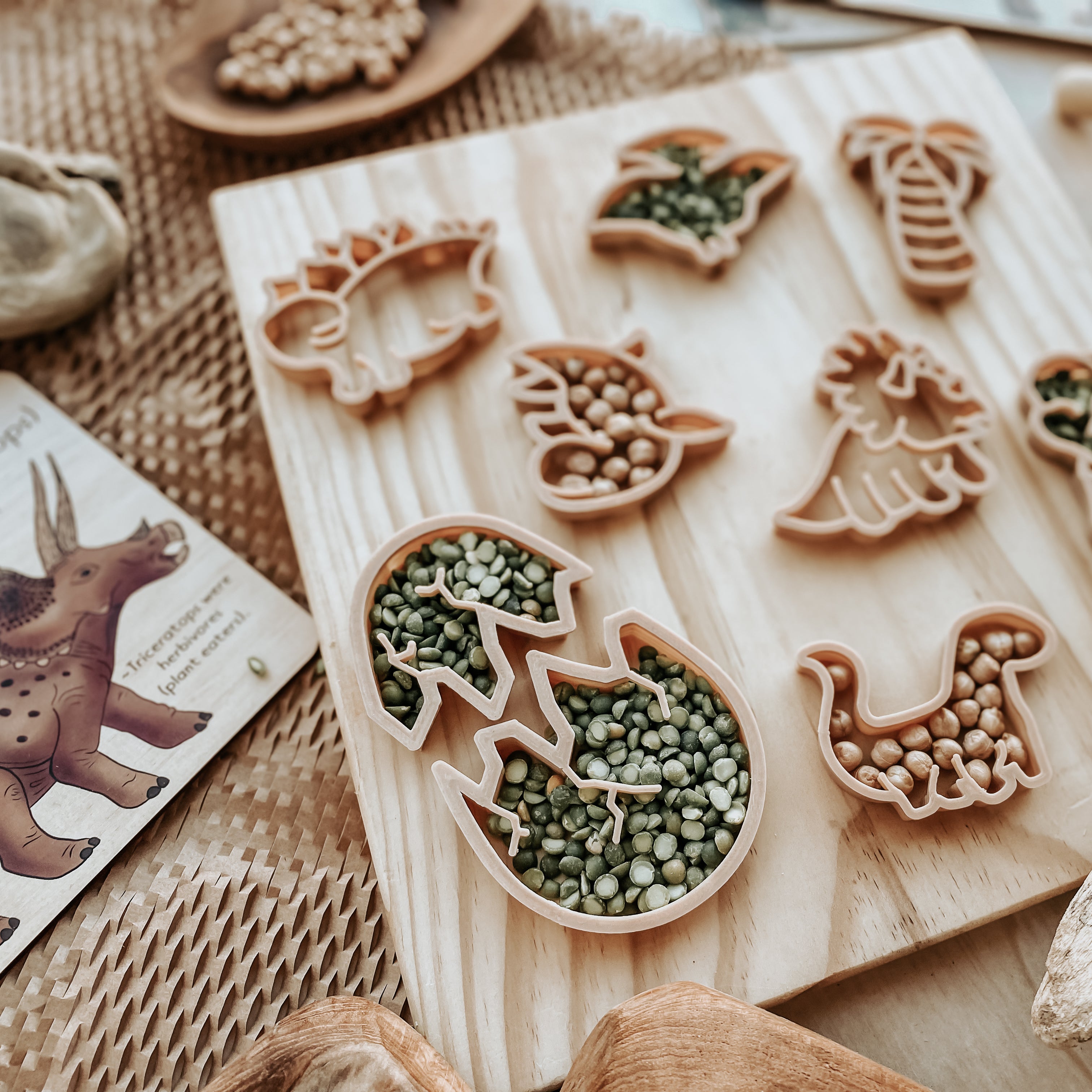 Baby Dinosaur Eco Cutter ™ | Kinfolk & Co – Timber Kids