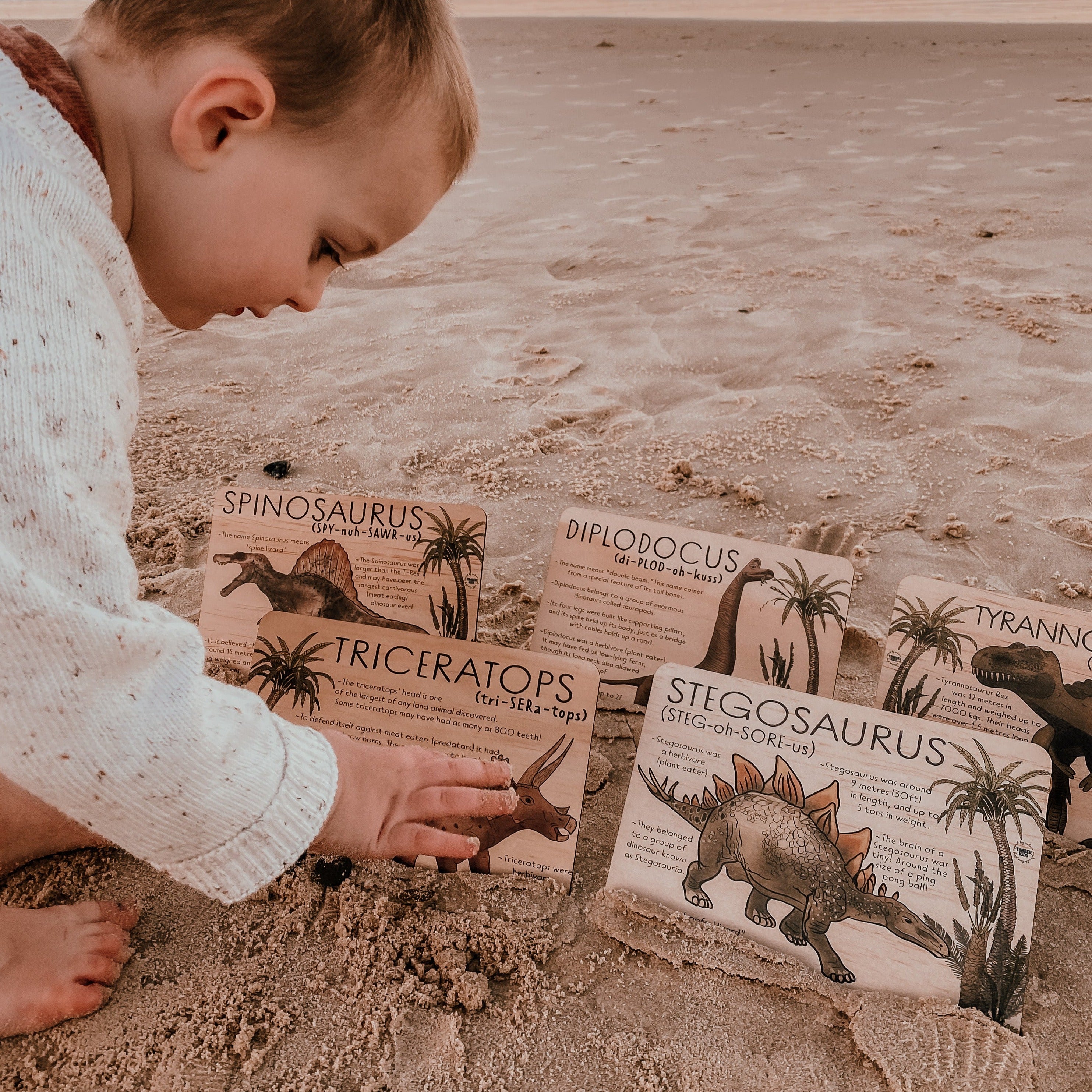 Jumbo Dino Fun Fact Tile Bundle | Timber Kids – Timber Kids