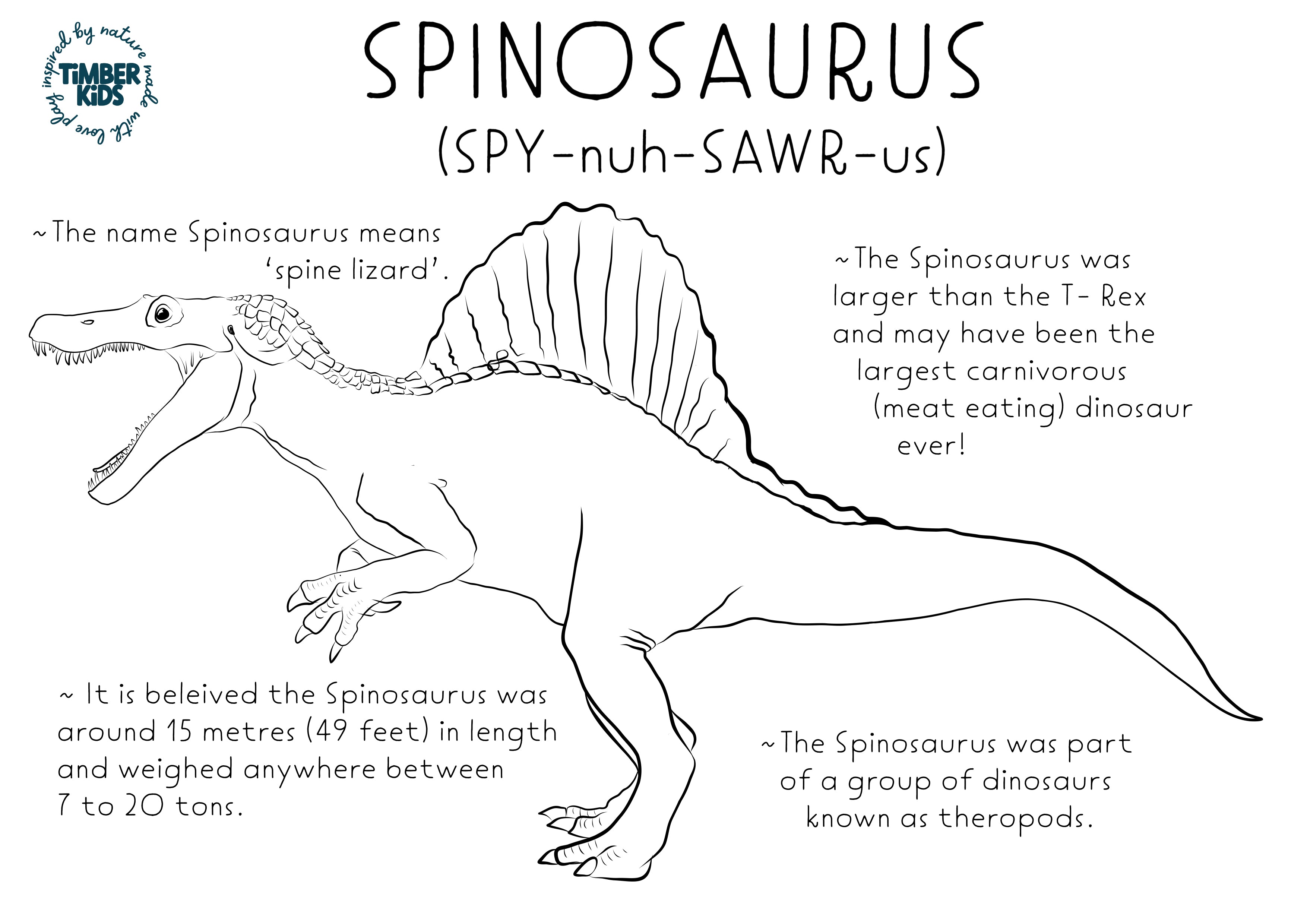 Spinosaurus Fact colour In | Timber Kids – Timber Kids