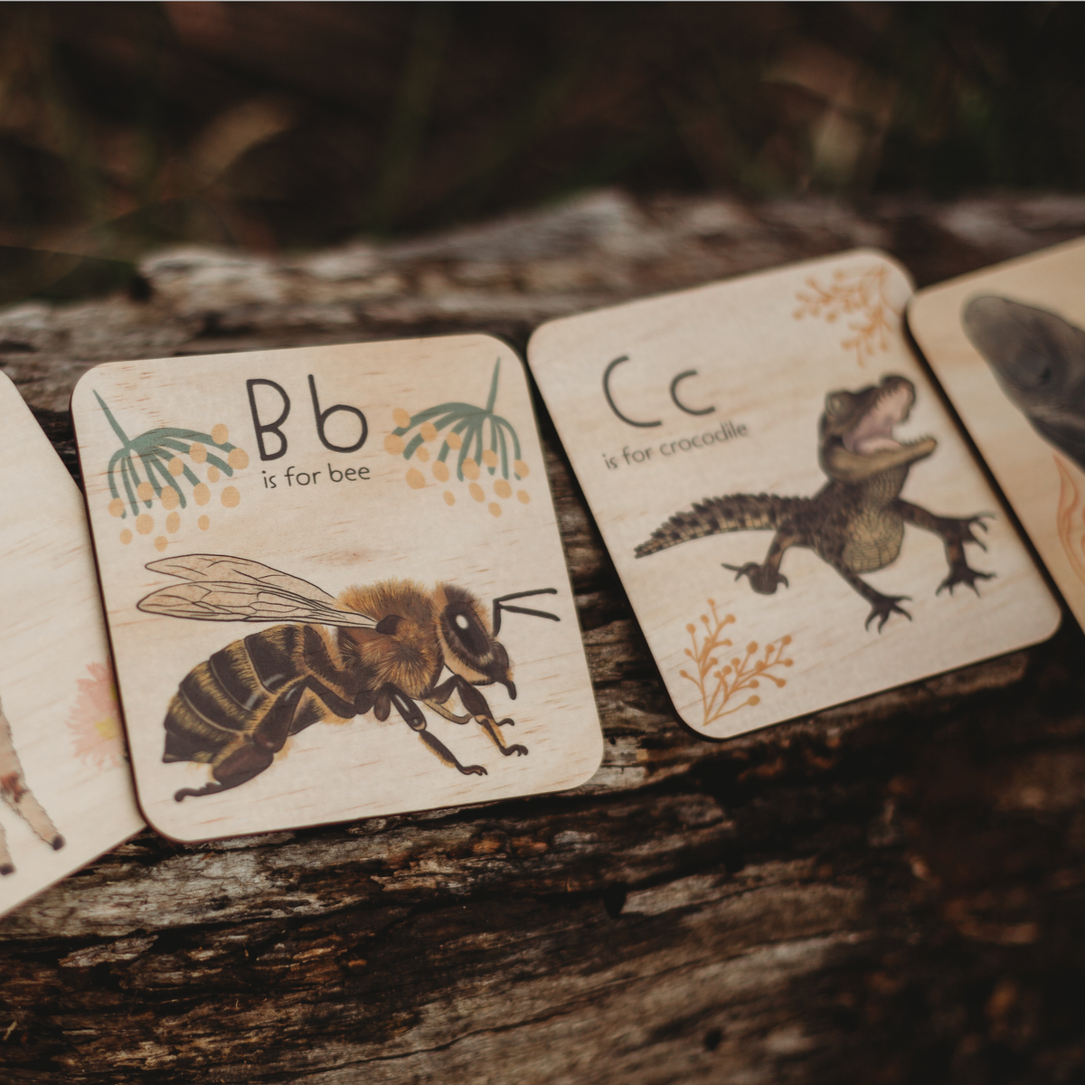 ABC Timber Educational Toy (Natural) | Timber Kids – Timber Kids