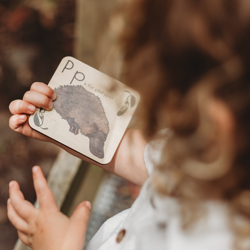 ABC Timber Educational Toy (Natural) | Timber Kids – Timber Kids