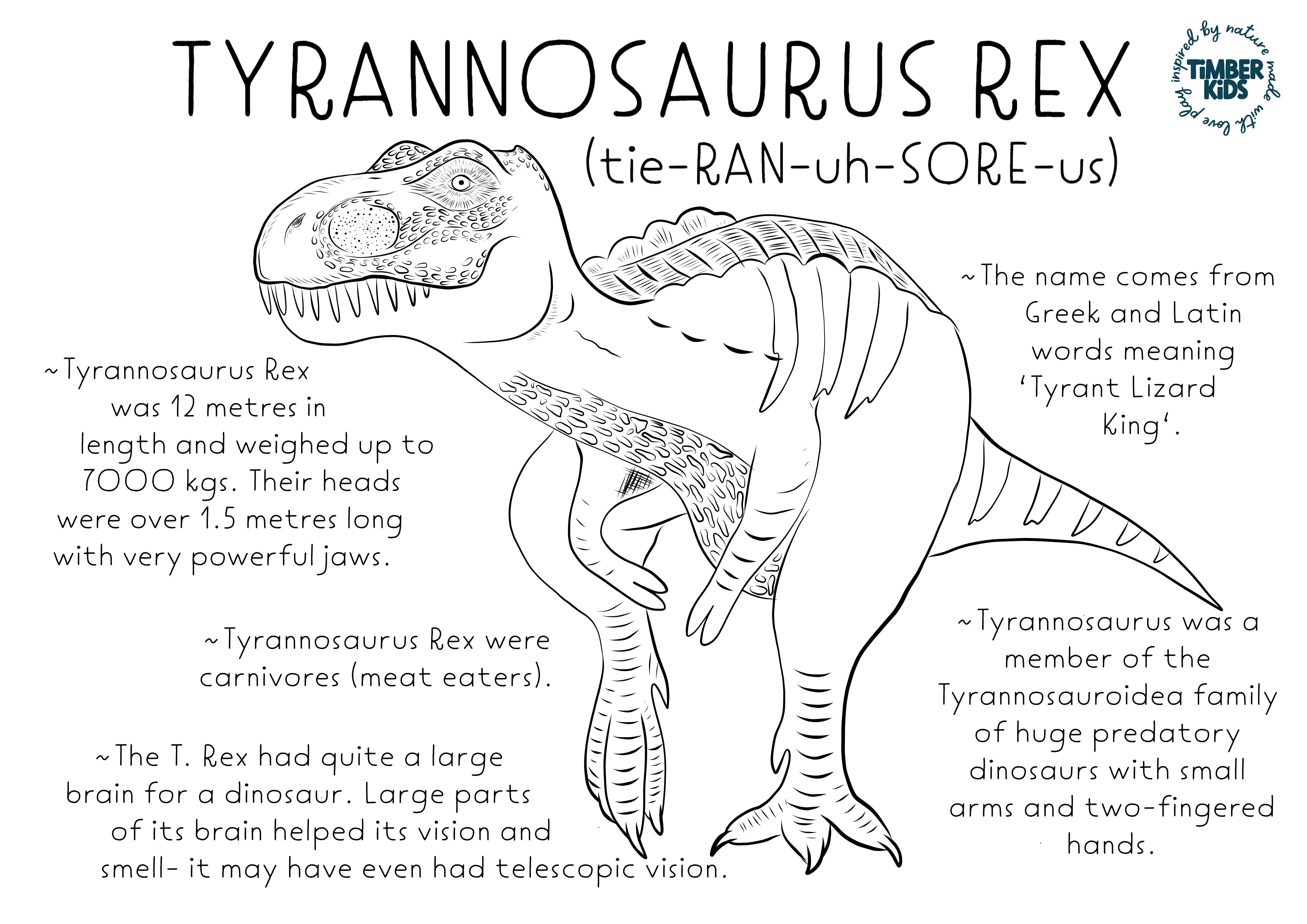 T Rex Fact Colour In | Timber Kids – Timber Kids